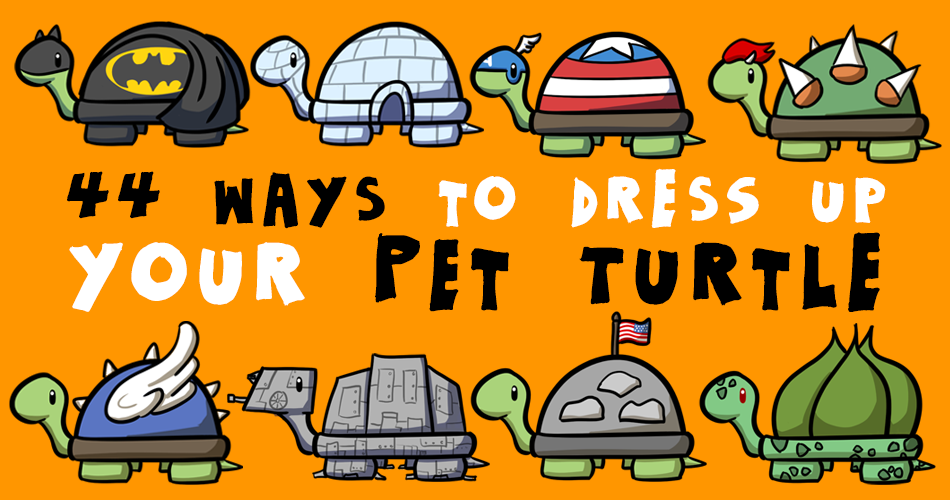 44 Adorable Ways to Dress Up a Turtle for Halloween - a Rock Paper ...
